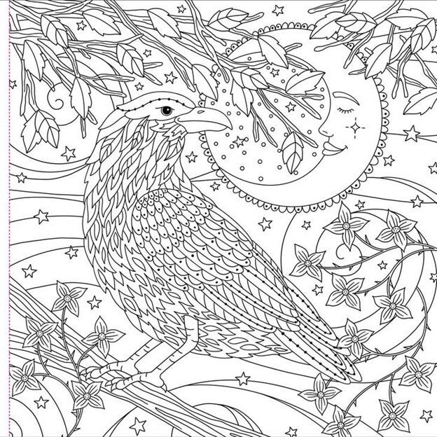 hard bird coloring pages
